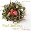 Make A Birds Nest STEAM Project - Kids Craft Room