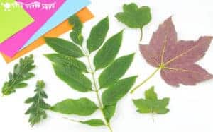 Pop Art Leaf Printing - Kids Craft Room